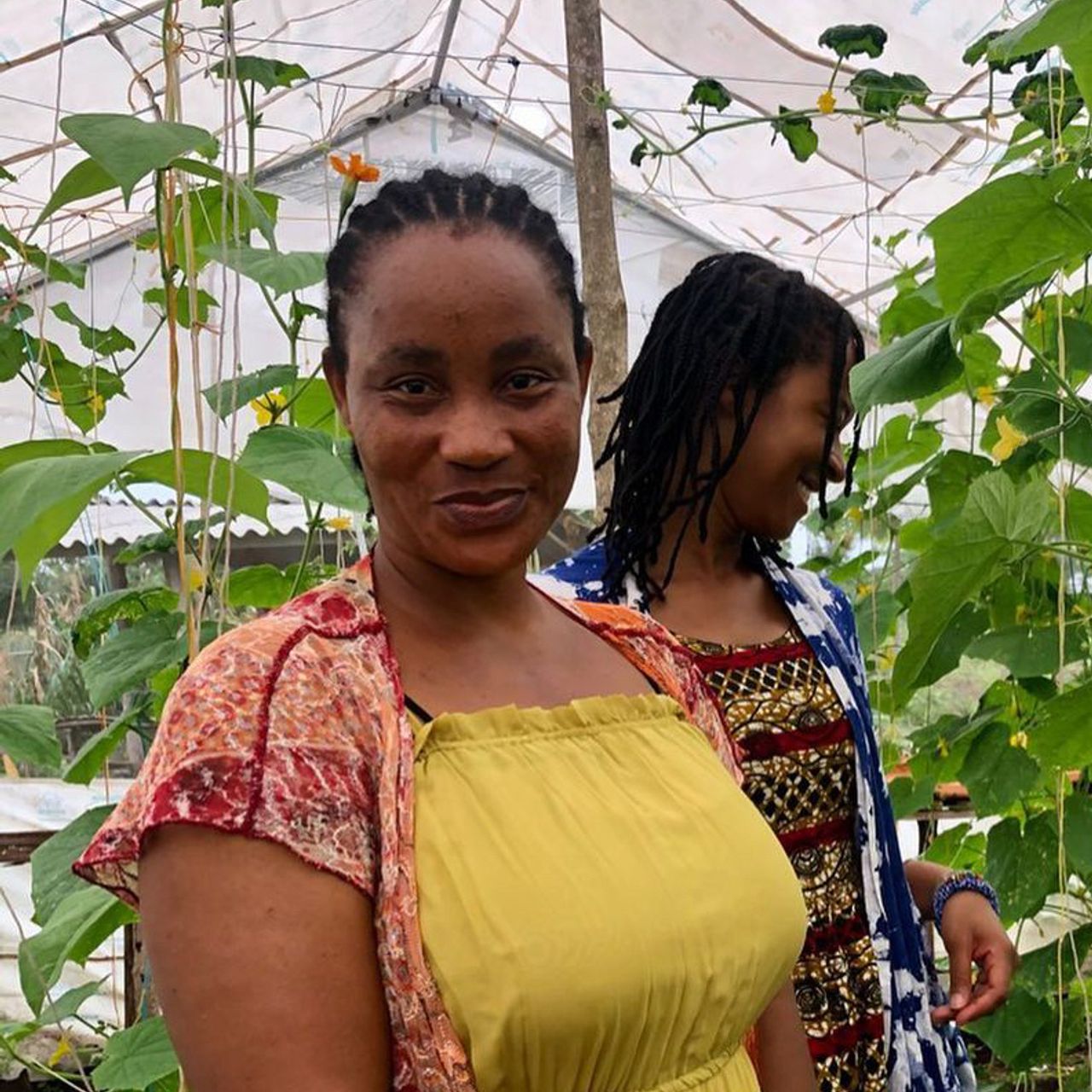 Vivre et apprendre dans des fermes bio et paysannes - WWOOF UK