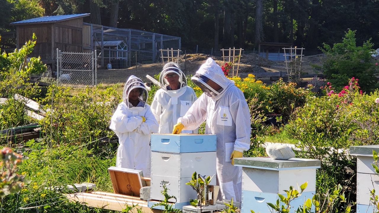 Live and Learn on Organic Farms - WWOOF Canada