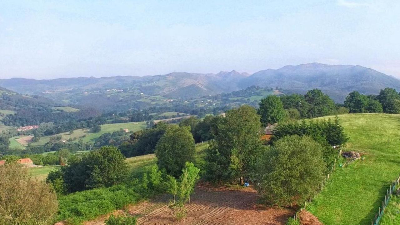 Live and Learn on Organic Farms - WWOOF Spain