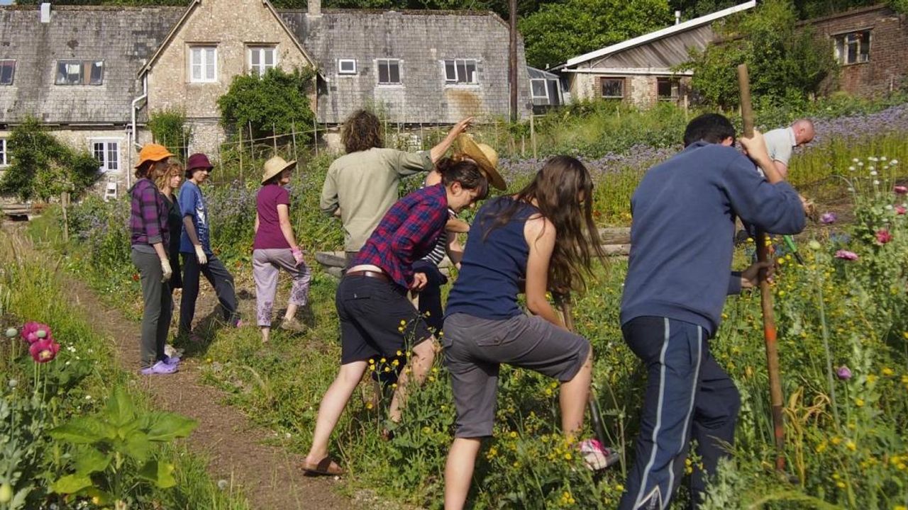 Live and Learn on Organic Farms - WWOOF UK
