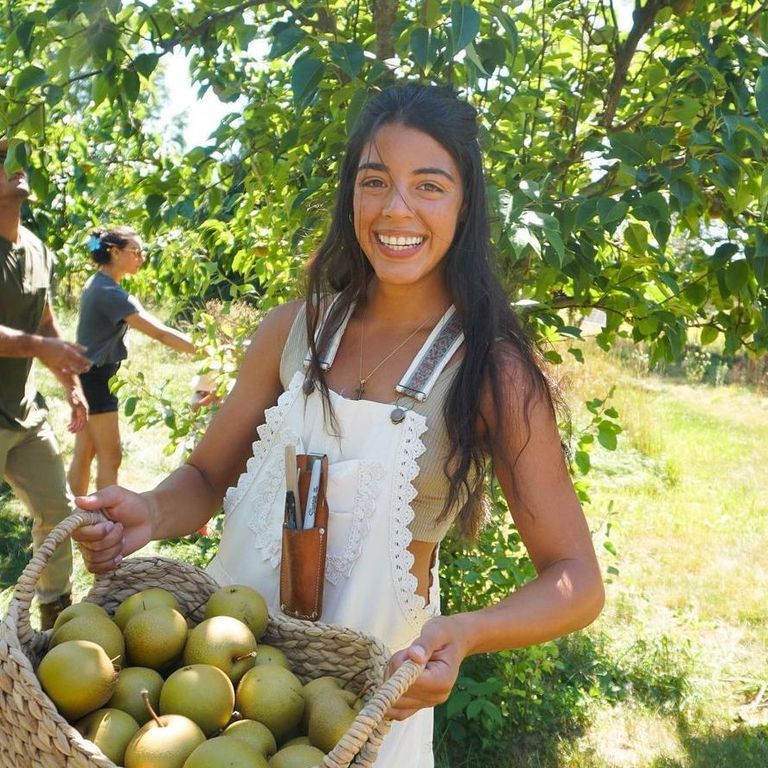 Live and Learn on Organic Farms - WWOOF Spain