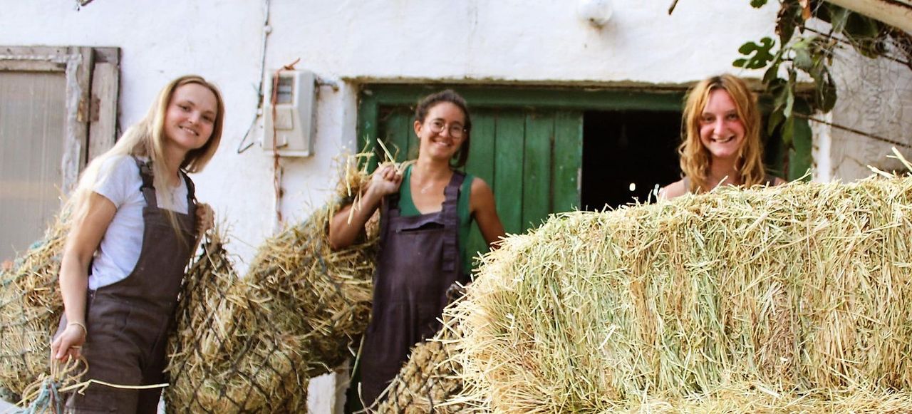 Log in - WWOOF Greece