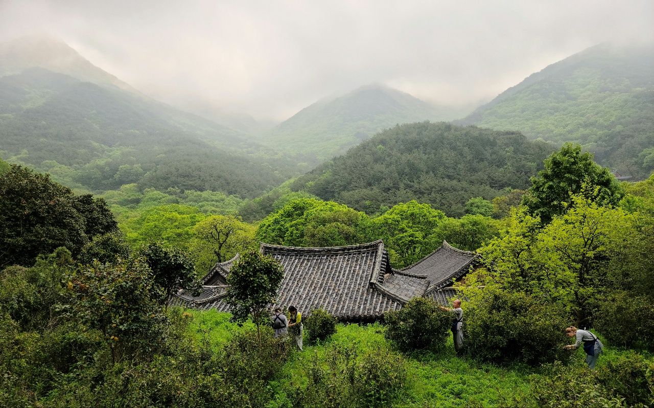 유기농 농장에서 생활하고 배우세요 - WWOOF Korea